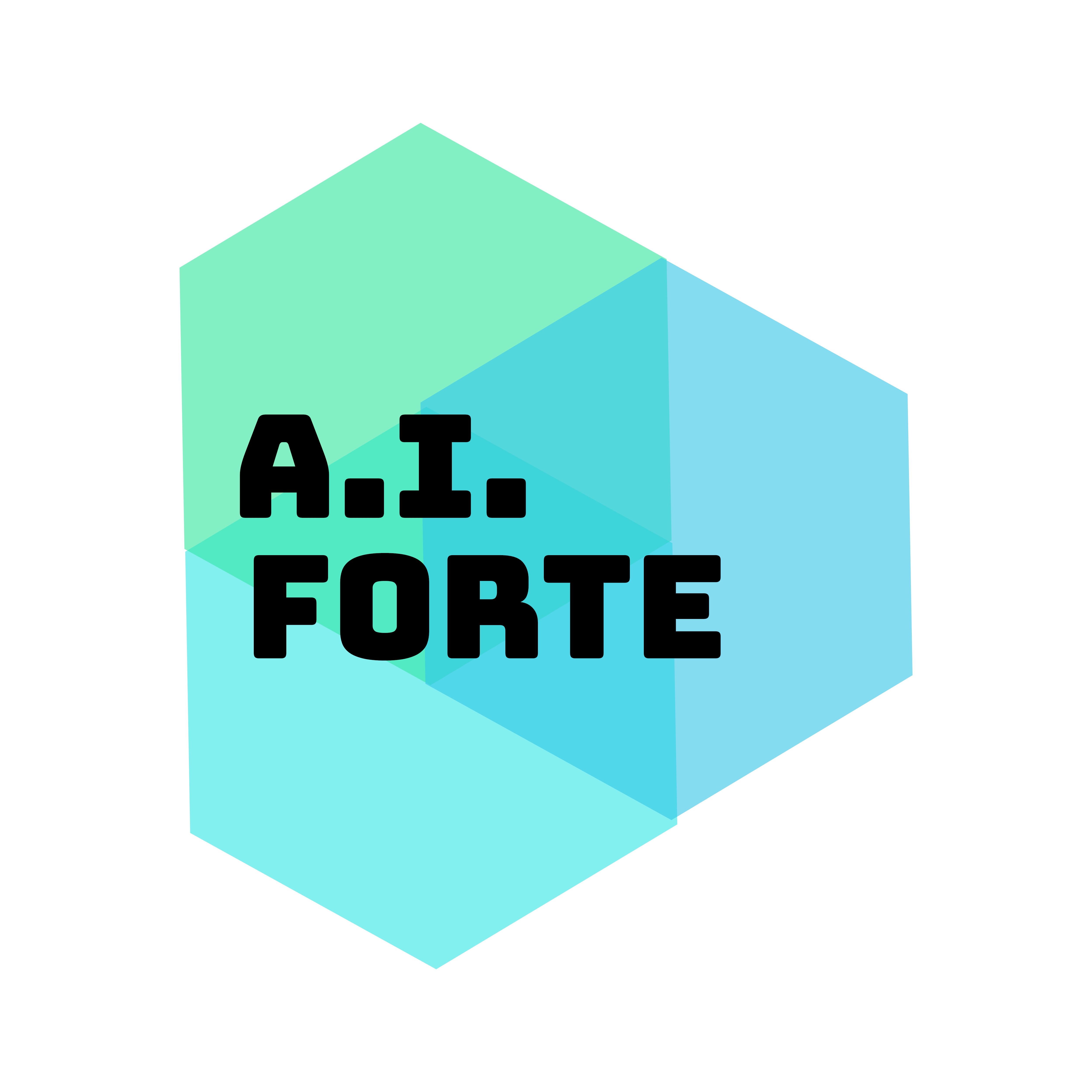 A.I. Forte - Refugee Investment Network